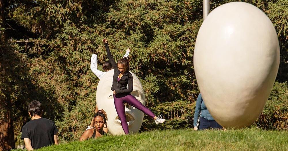 UCD celebrates iconic eggheads | News | davisenterprise.com