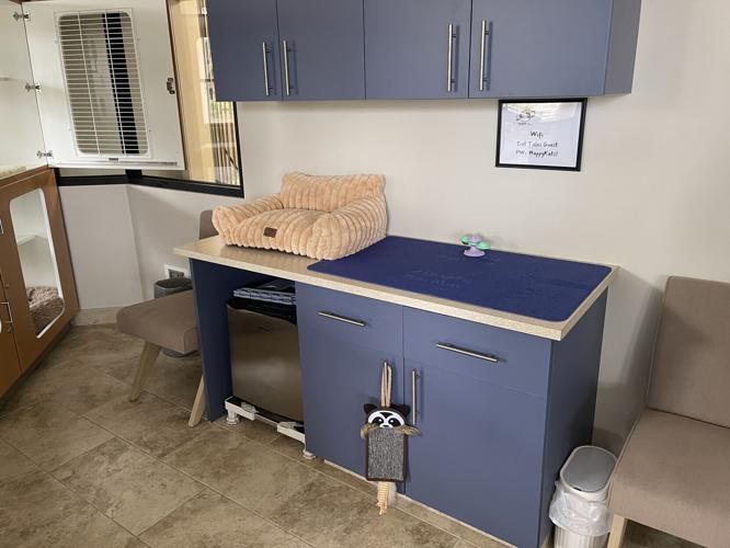 Cat Tales brings feline-only vet care, first cat café to Davis ...