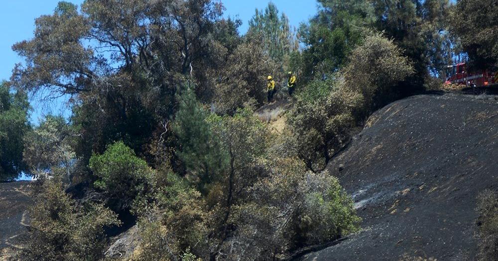 Cal Fire reports target shooting as cause of Quail Fire in June | News ...