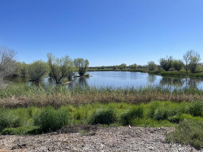 Groundbreaking held for Rotary Pavilion at Woodland Regional Park ...