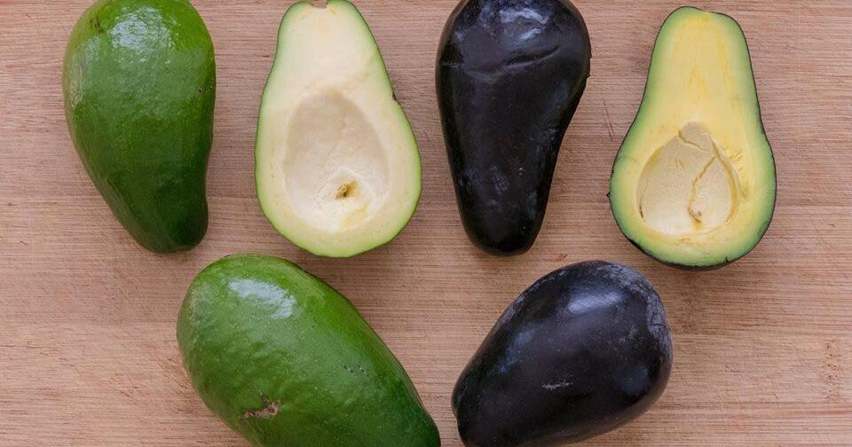 Don Shor: Growing your own avocados | Gardening | davisenterprise.com