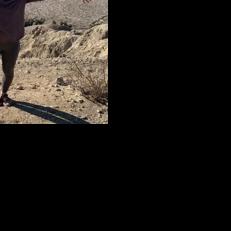 Yolo judge keeps Davis domestic-violence suspect on no-bail hold | News ...