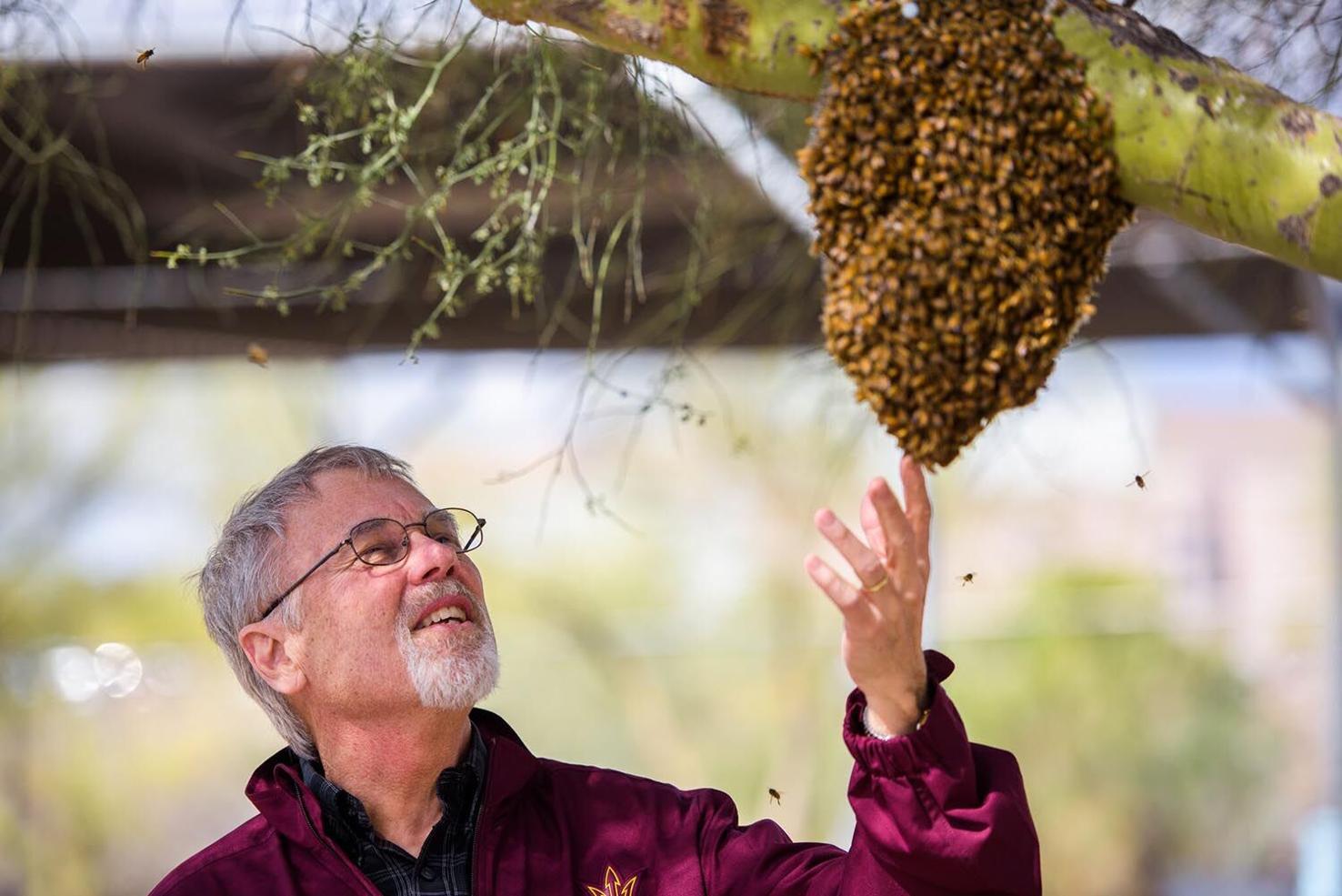 Name Droppers: Former UCD prof's bee book translated into German ...