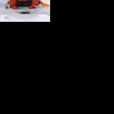Explorit: How do fish survive winter? | Features | davisenterprise.com