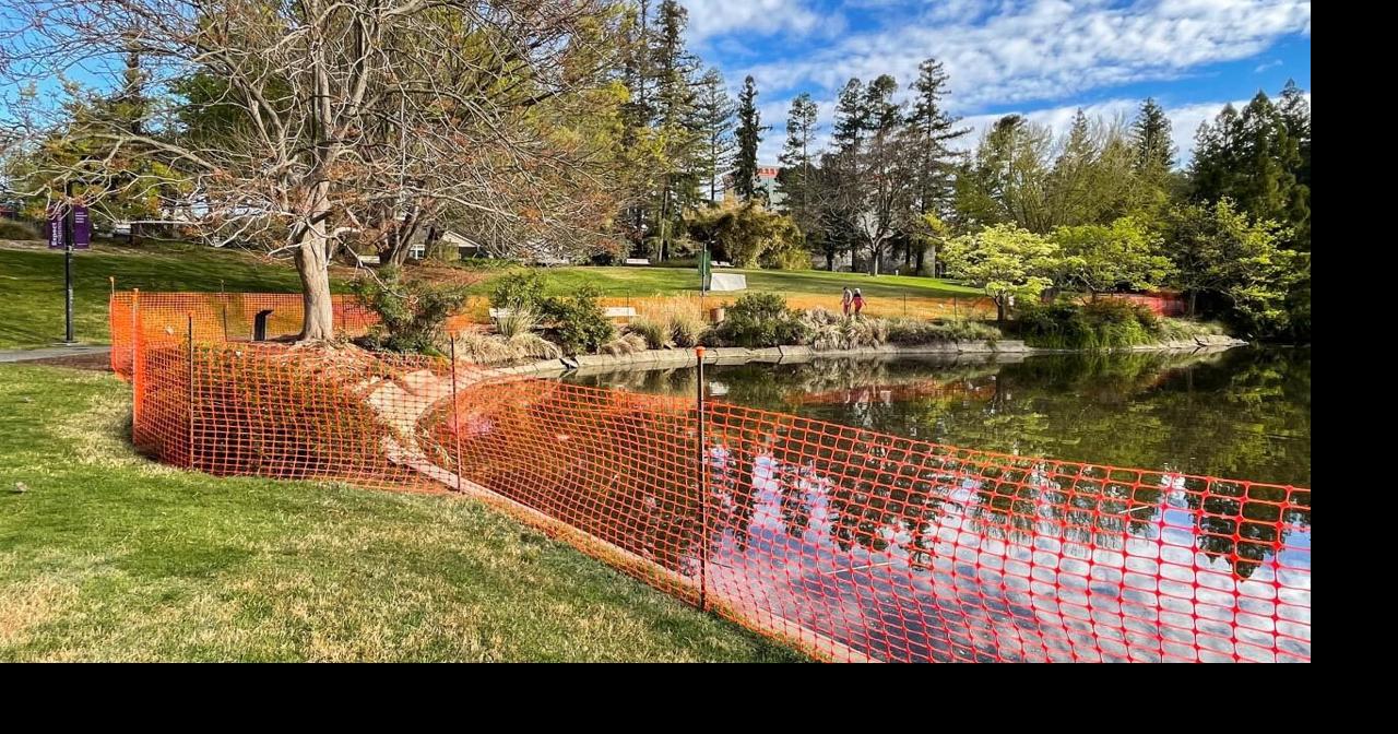 UCD Arboretum launches enhancement project | News | davisenterprise.com
