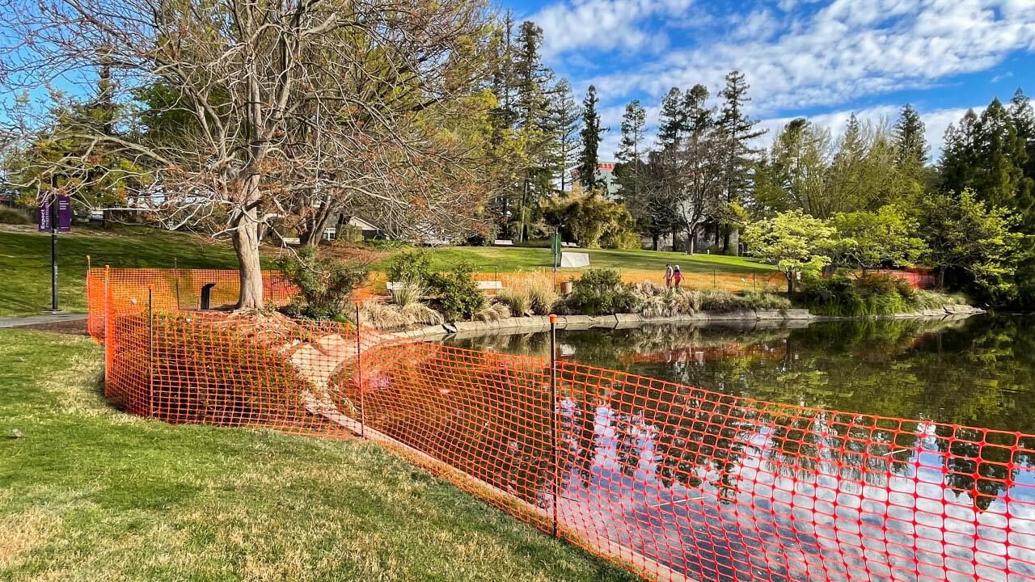 UCD Arboretum launches enhancement project | News | davisenterprise.com