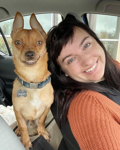 Paws for Thought: Pet gifts to get them playing | Pets ...