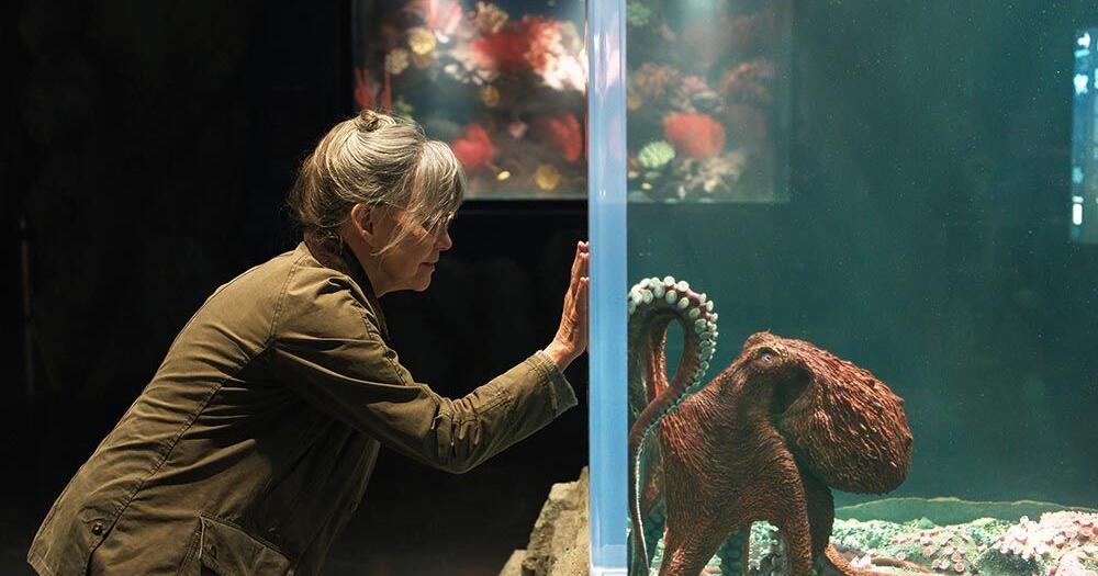 ‘Remarkably Bright Creatures’: A character-driven drama | Movies ...