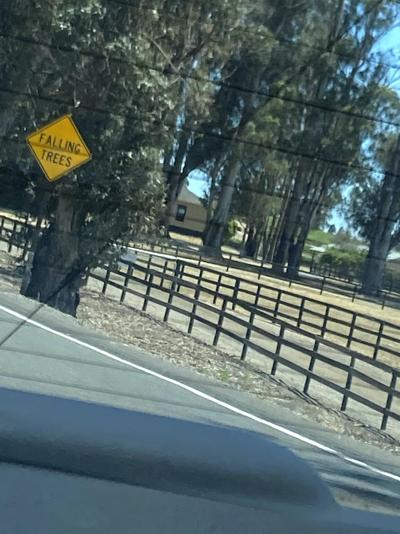 Bob Dunning: Oh, the sights that you’ll see on the road | Bob Dunning ...