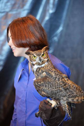 California Raptor Center | News | davisenterprise.com
