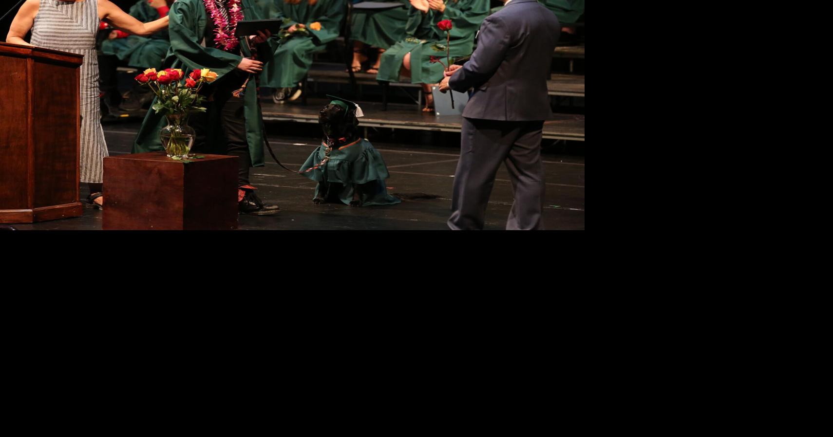 DSIS sends off graduating class | Schools | davisenterprise.com