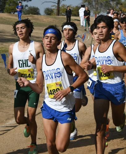 Cross country: Blue Devil teams finish in top 20 | Blue Devils ...