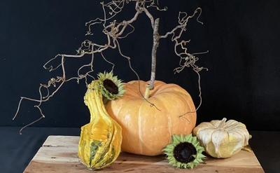 Flower Arrangers host a pumpkin workshop | Community News ...