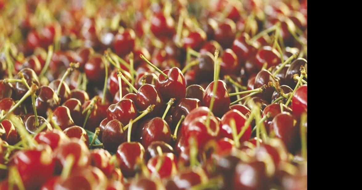 Field to Fork: Cherries in, strawberries out | Food & Drink ...