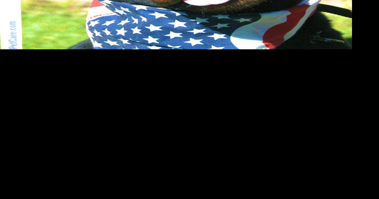 Batman and Hopper photos | Do-not-import | davisenterprise.com