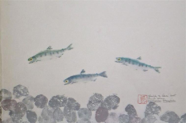 Artist captures ‘Life Histories’ in fish prints | Arts & Entertainment ...