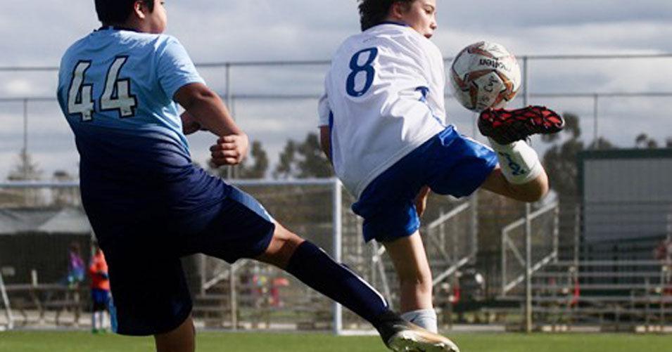 Davis soccer teams dominate in Sunnyvale | Sports | davisenterprise.com