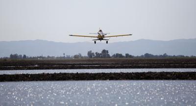 Increased bypass flooding may sink local agriculture, report says ...