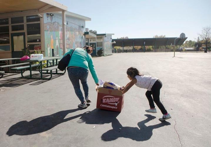‘We need the food that we lost’ | State government | davisenterprise.com
