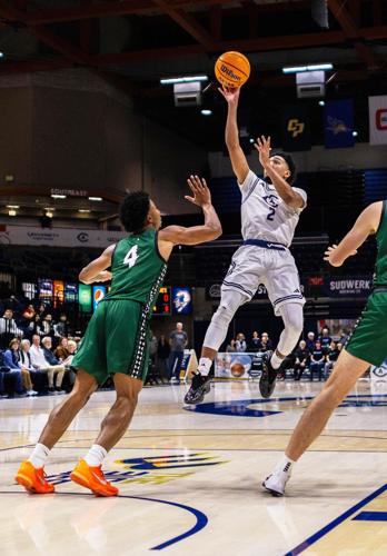 UCD men fall to Hawaii | Sports | davisenterprise.com