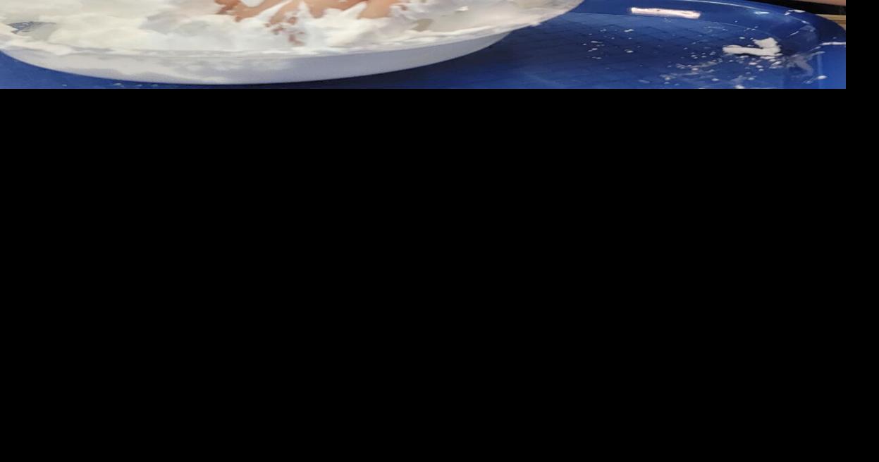 Explorit: Summer Science Camp coming up | Features | davisenterprise.com