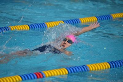 UCD swimmer Laughlin points to ‘Shiny’ future | Sports ...