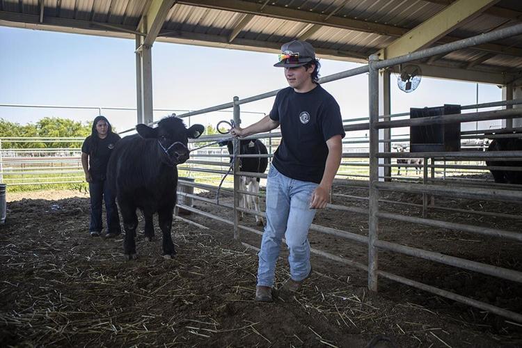 High schools move on from college for all | News | davisenterprise.com