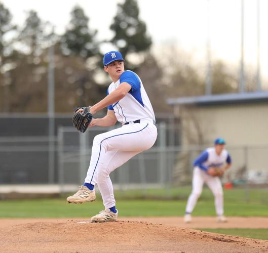 DHS baseball following blueprint for success again | Sports ...