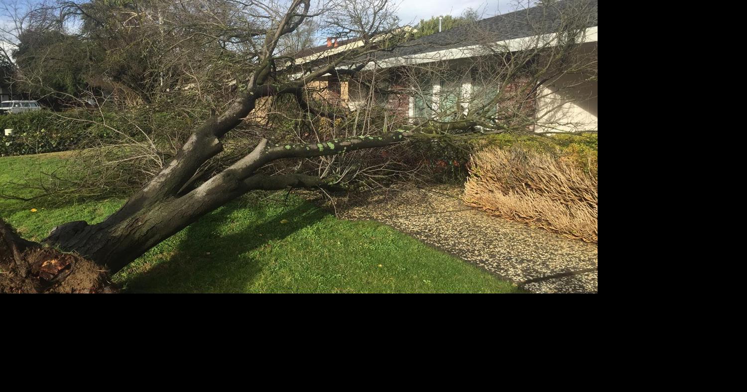 The claw will come out for tree branches | News | davisenterprise.com