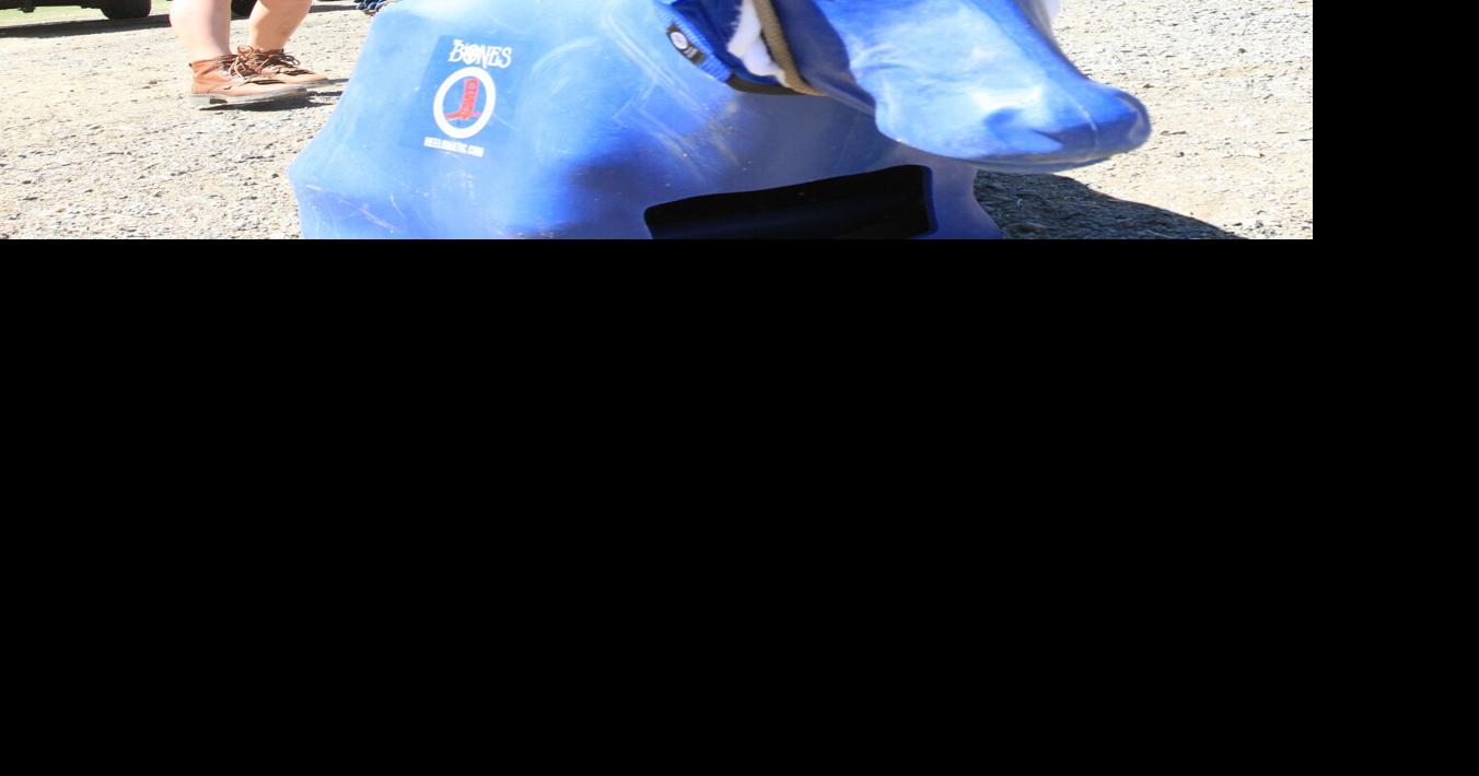 Yolo County Fair amps up the excitement | News | davisenterprise.com