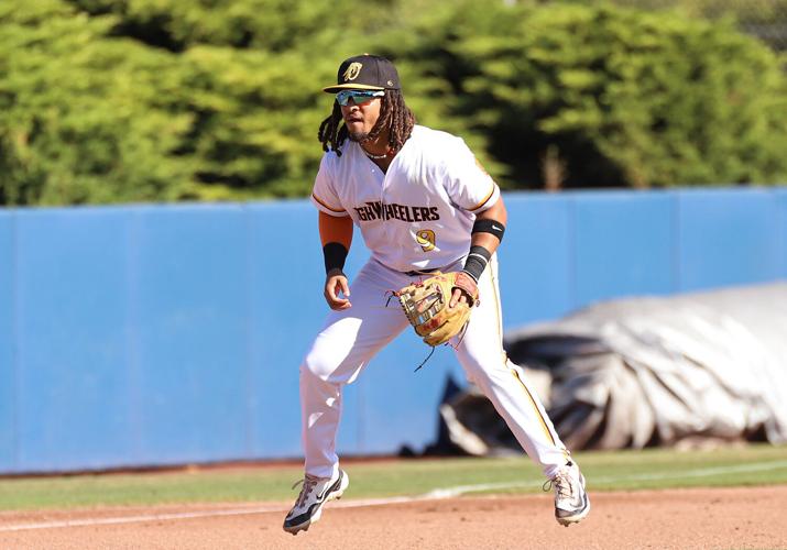 View from the Dugout: Here today, gone tomorrow | Sports ...