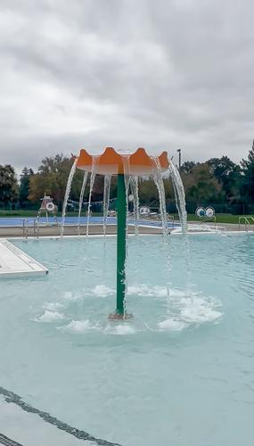 Davis Parks department aims to make life brighter for residents | News ...