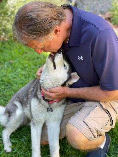 Paws for Thought: A friendly wag in the classroom | Features ...