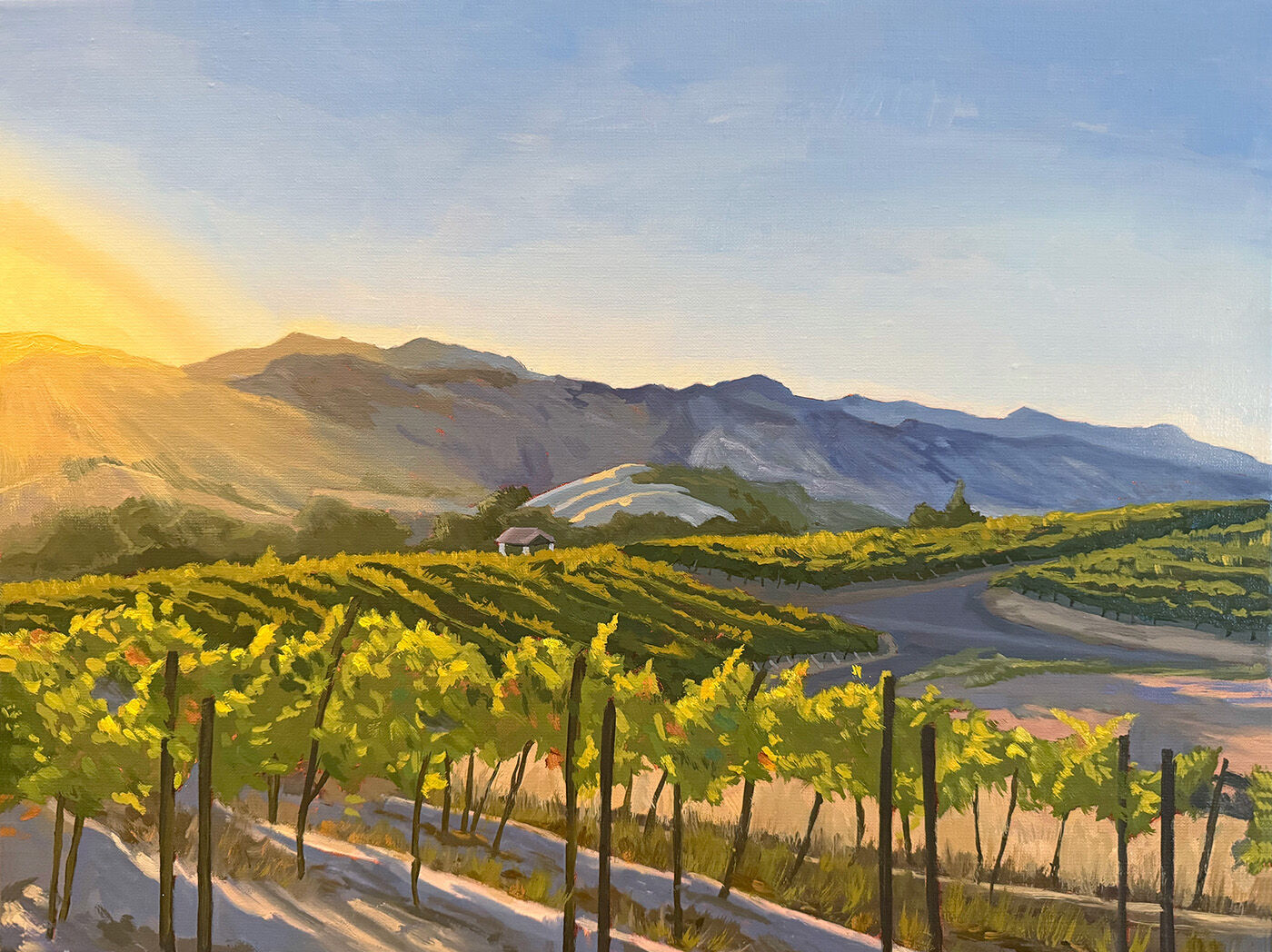 winning capay valley vineyards painting | | davisenterprise.com