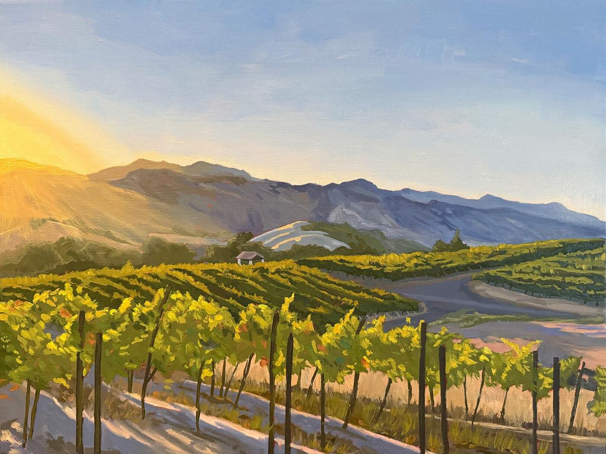 winning capay valley vineyards painting | | davisenterprise.com