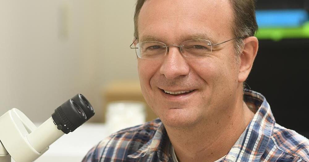 UCD team heads genetic analysis of spider | UC Davis | davisenterprise.com