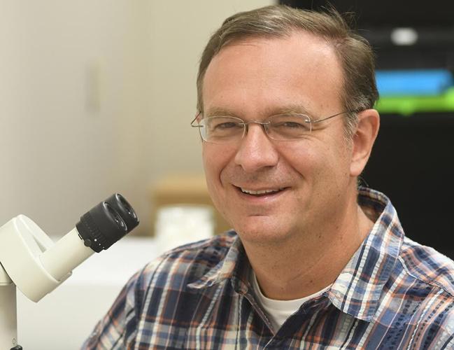 UCD team heads genetic analysis of spider | UC Davis | davisenterprise.com