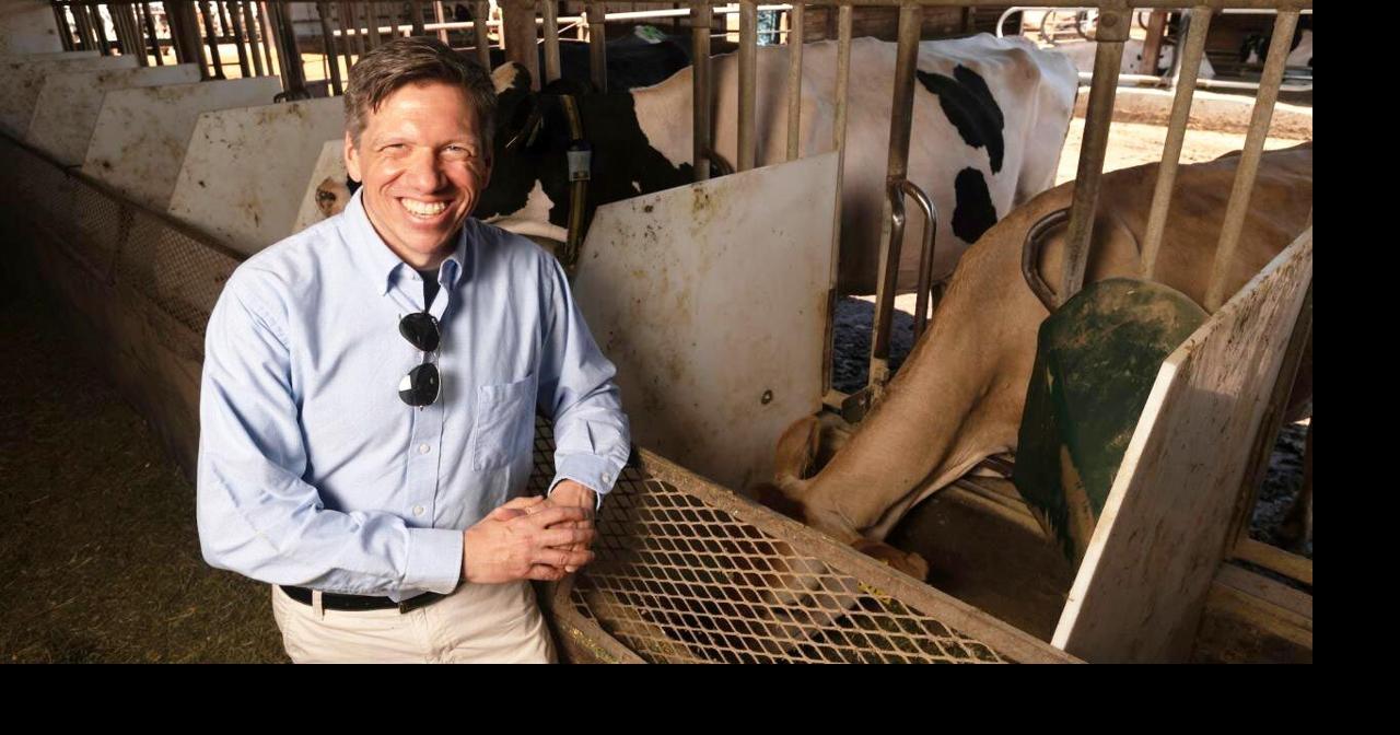 UCD finds a microbial blueprint for climate-smart cows | News ...