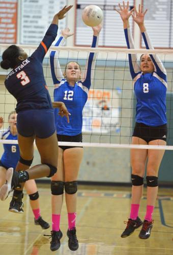 Local sports briefs: Wilcox stands tall in first DHS volleyball win of ...