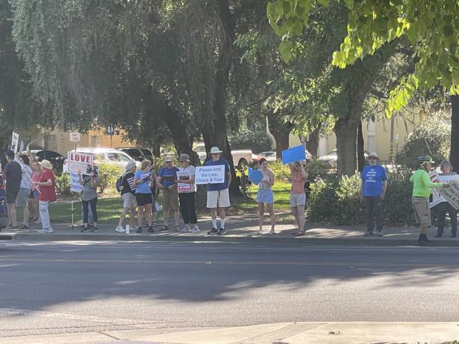Indivisible Yolo holds ‘Disappeared in America’ protest in Davis | News ...
