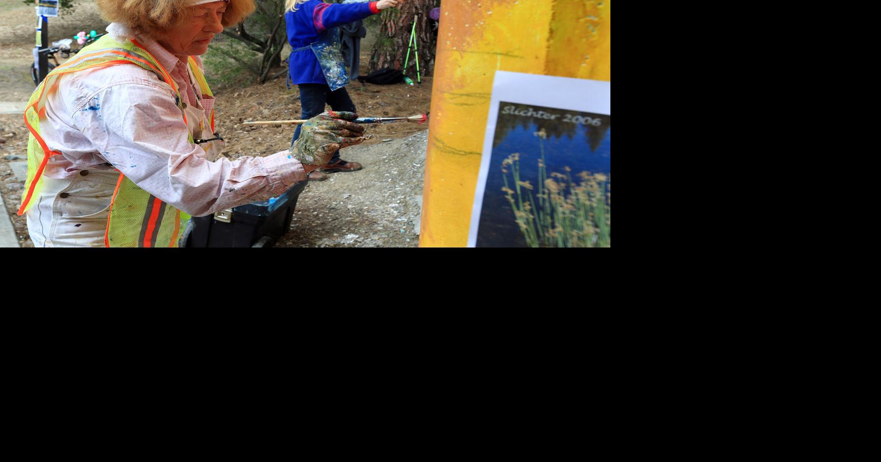Arboretum mural, benches, mandala photos | Do-not-import ...