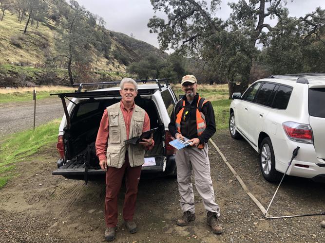 At the Pond: Head for the greening hills | Features | davisenterprise.com