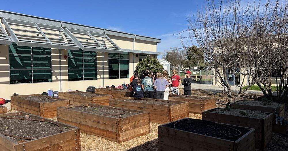Davis Farm to School: A garden reborn at North Davis Elementary ...