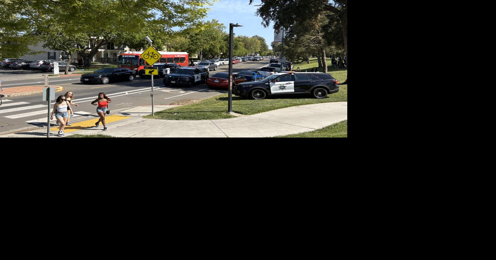 Davis mayor, police chief issue statement on Community Park shooting ...
