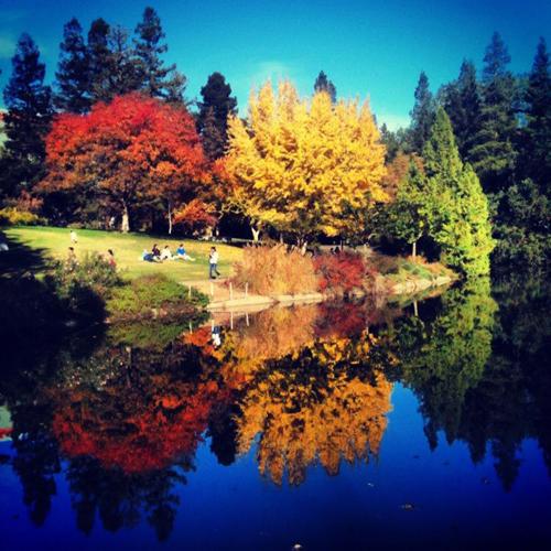 Phone art photos: Part III | Do-not-import | davisenterprise.com