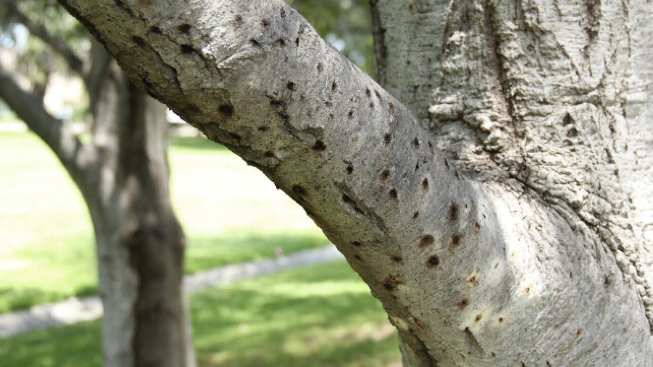 davisenterprise.com | The Davis Enterprise