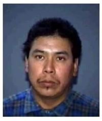 New works by Pat Mahony on display at Natsoulas | Arts & Entertainment ...