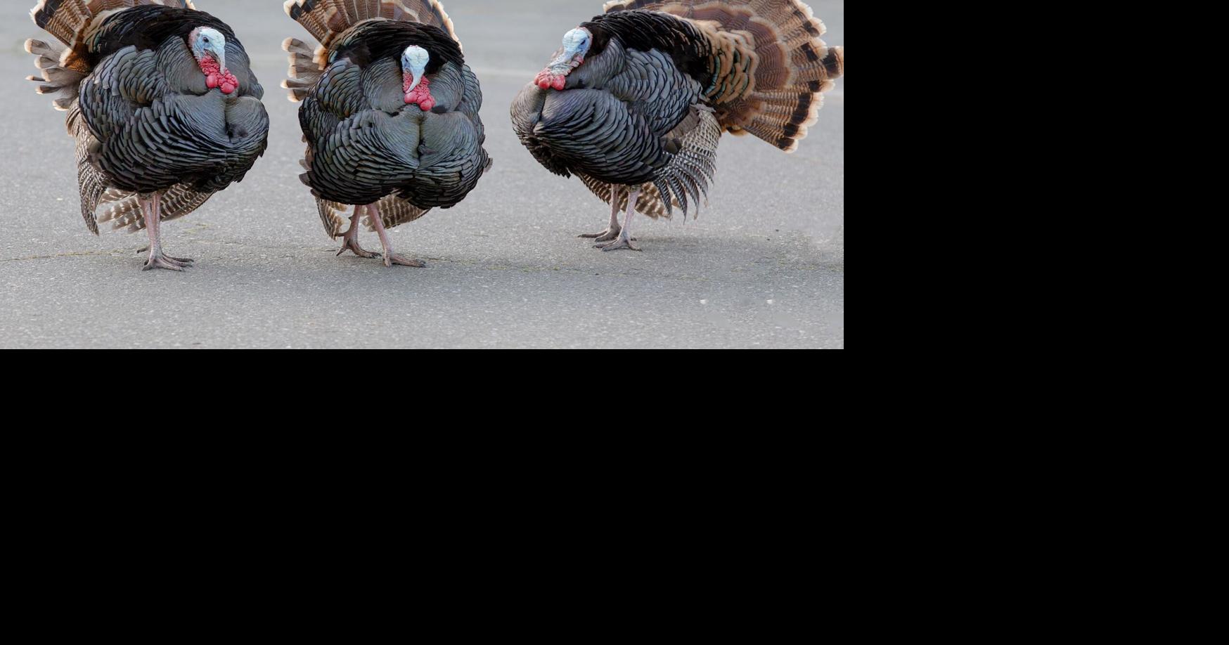 Environmental Update: Renew your environmental commitment | Features ...