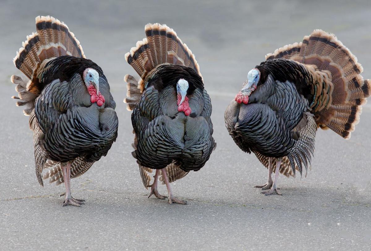 Environmental Update: Renew your environmental commitment | Features ...