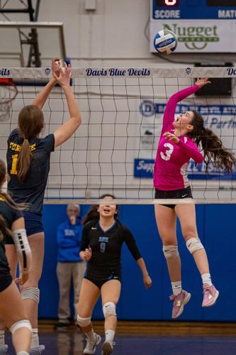 Volleyball: Davis ousted in first round of D-I playoffs | Blue Devils ...
